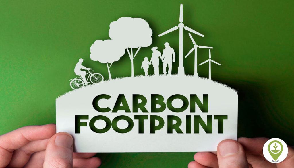 A Guide to Carbon Calculation and Offsetting - EcoMatcher