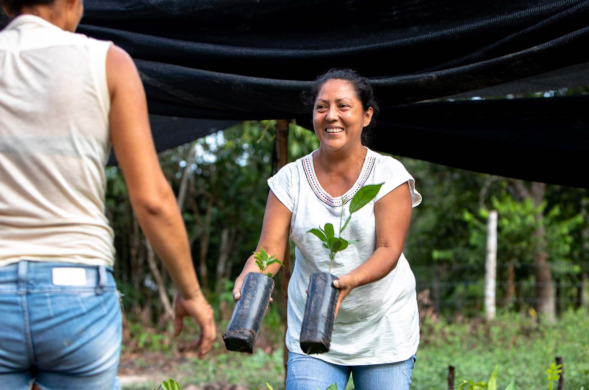 Plant Your Future (PYF) - EcoMatcher