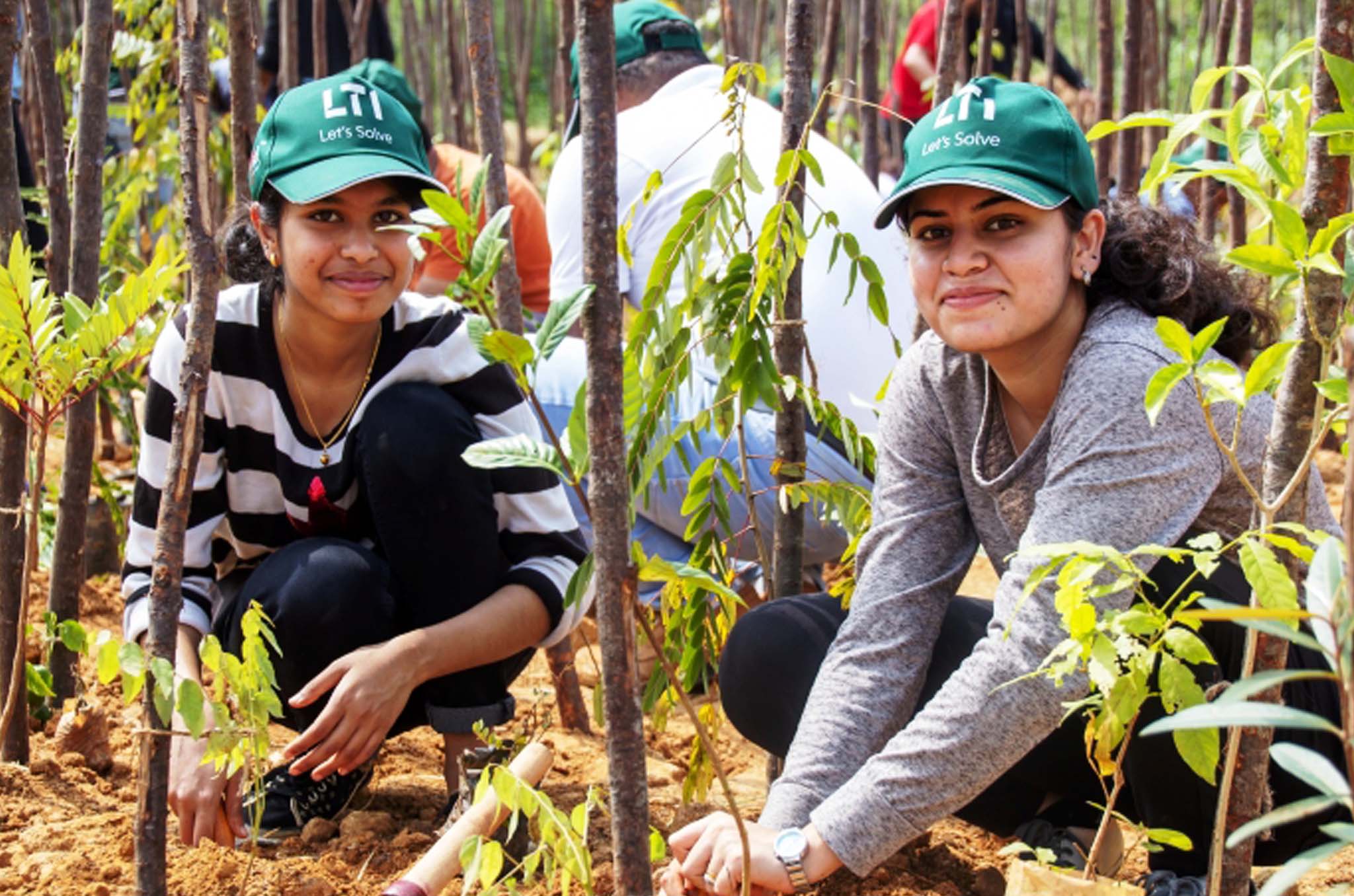 Say Trees - EcoMatcher