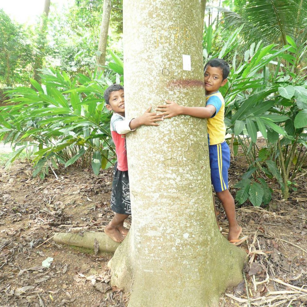 Trees4Trees (TFT) - EcoMatcher