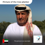 Trees in UAE - EcoMatcher