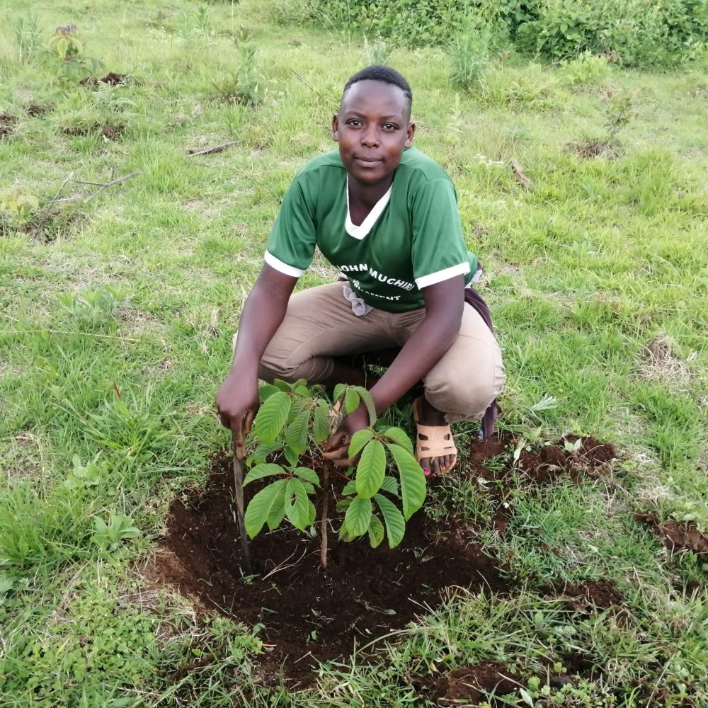 Trees for Kenya - EcoMatcher