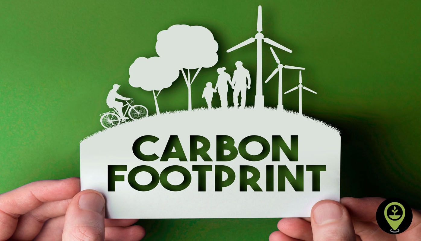 Transparent Carbon Offset by Planting Trees - EcoMatcher