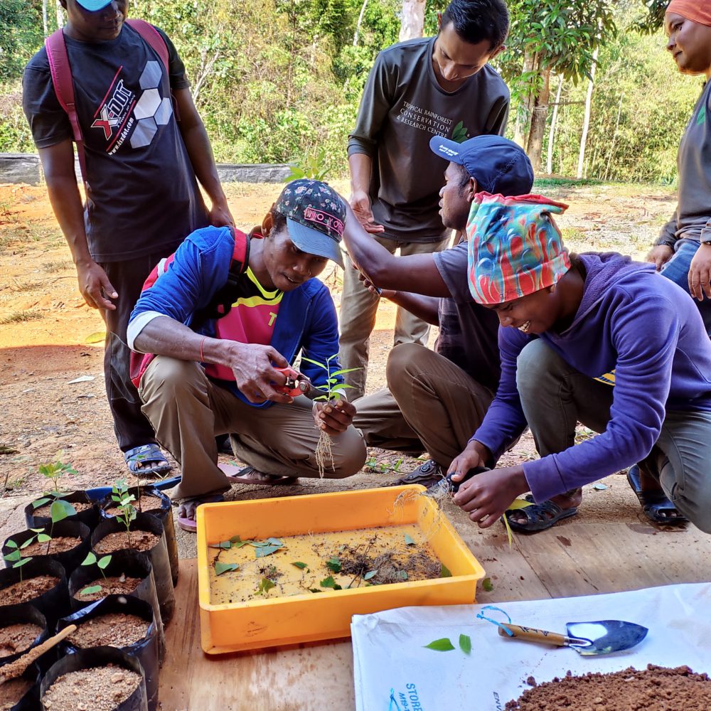 Tropical Rainforest Conservation & Research Center (TRCRC) - EcoMatcher