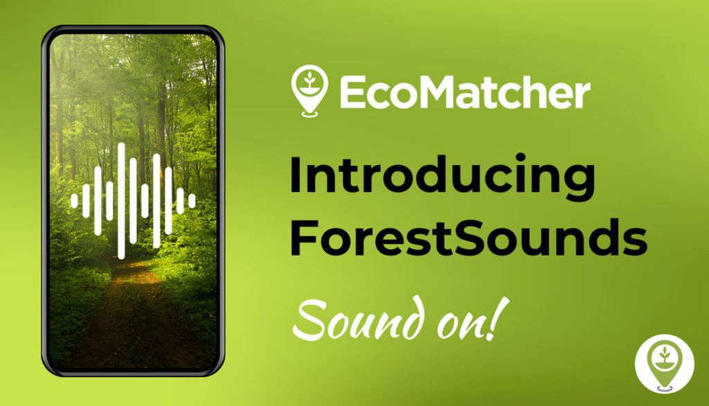EcoMatcher introduces ForestSounds - EcoMatcher