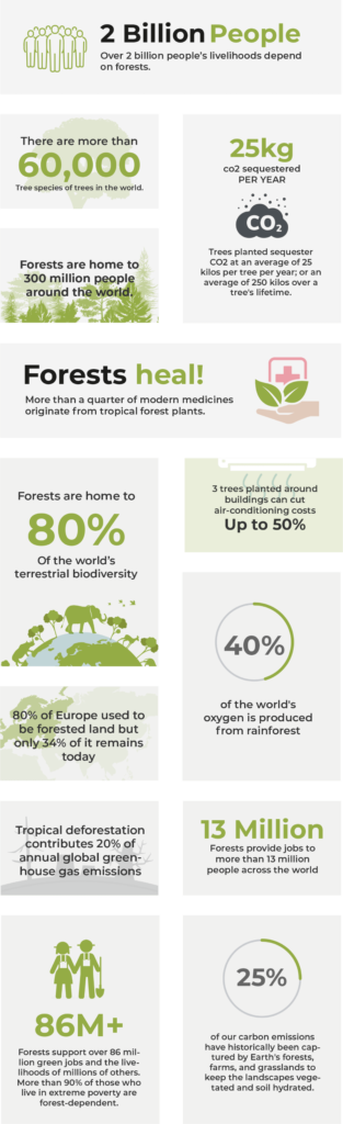 Tree Resources - EcoMatcher