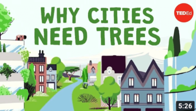 Tree Resources - EcoMatcher