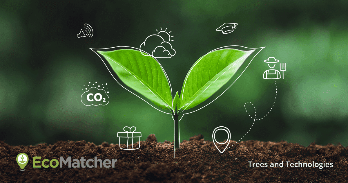 Tree Tracker | 3D Tree Tracking & Monitoring - EcoMatcher