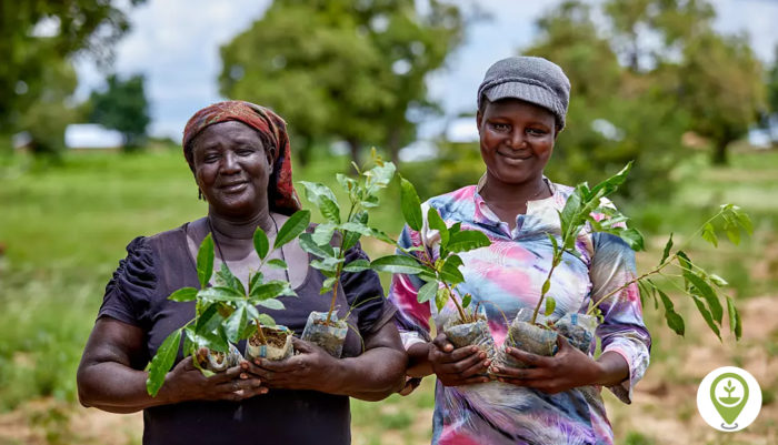 How Tree Planting Engages and Empowers Women - EcoMatcher