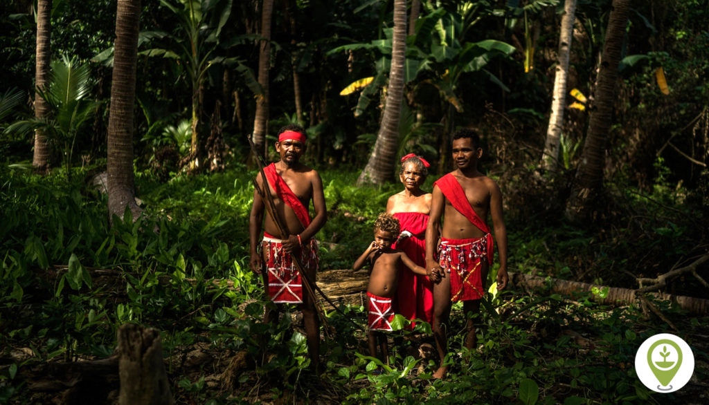 Stewards of the land: the power of Indigenous communities in fostering ...