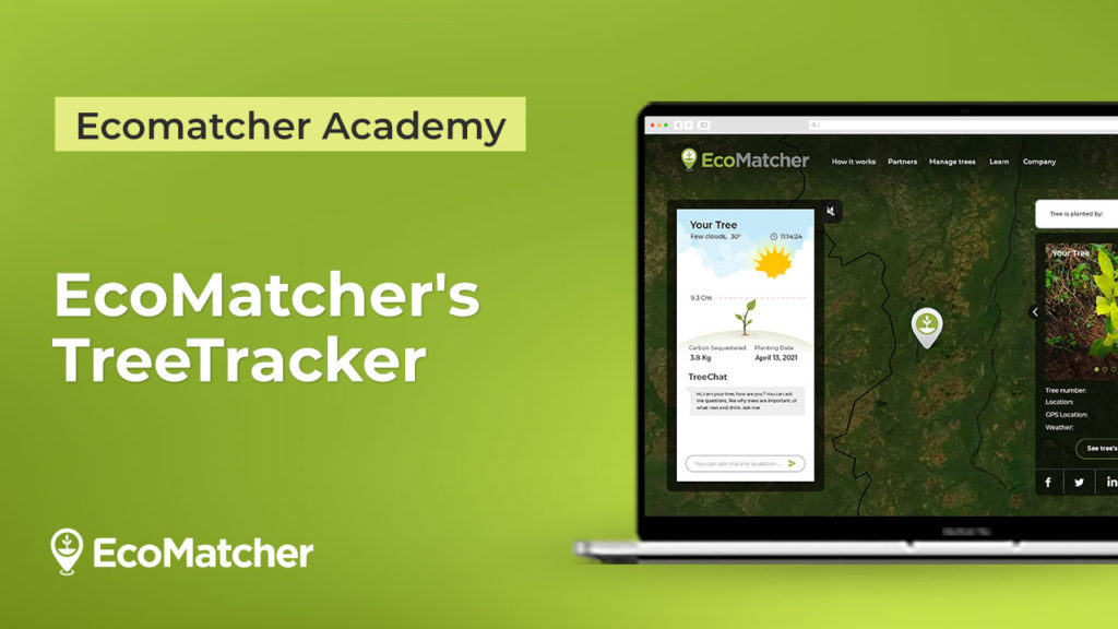 Academy - EcoMatcher