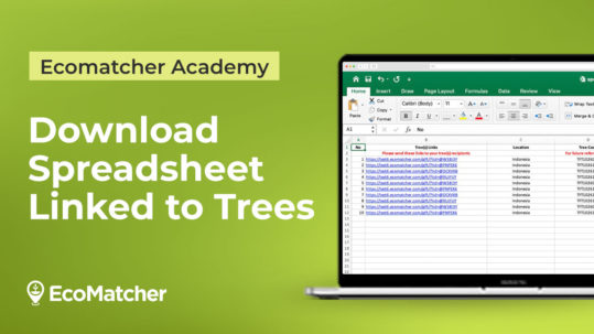 Academy - EcoMatcher