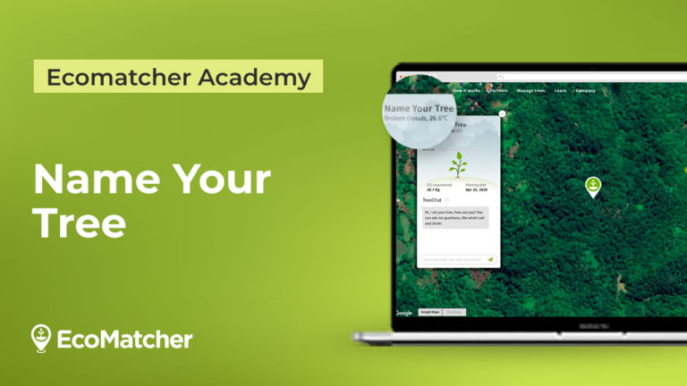 Academy - EcoMatcher