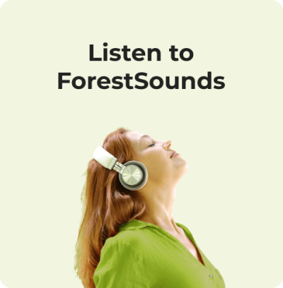 App for Mobile - EcoMatcher