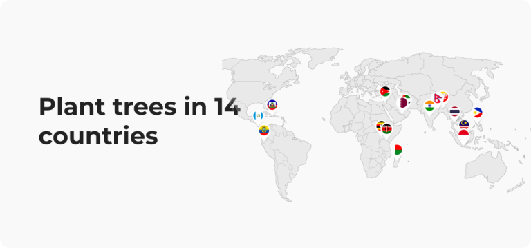 Planting Trees App | Track & Gift Trees on Mobile - EcoMatcher