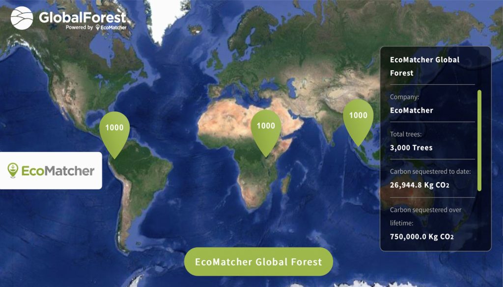 EcoMatcher Launches the EcoMatcher Global Forest - EcoMatcher