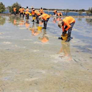 Basatin Landscaping - EcoMatcher