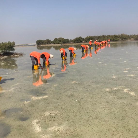 Basatin Landscaping - EcoMatcher