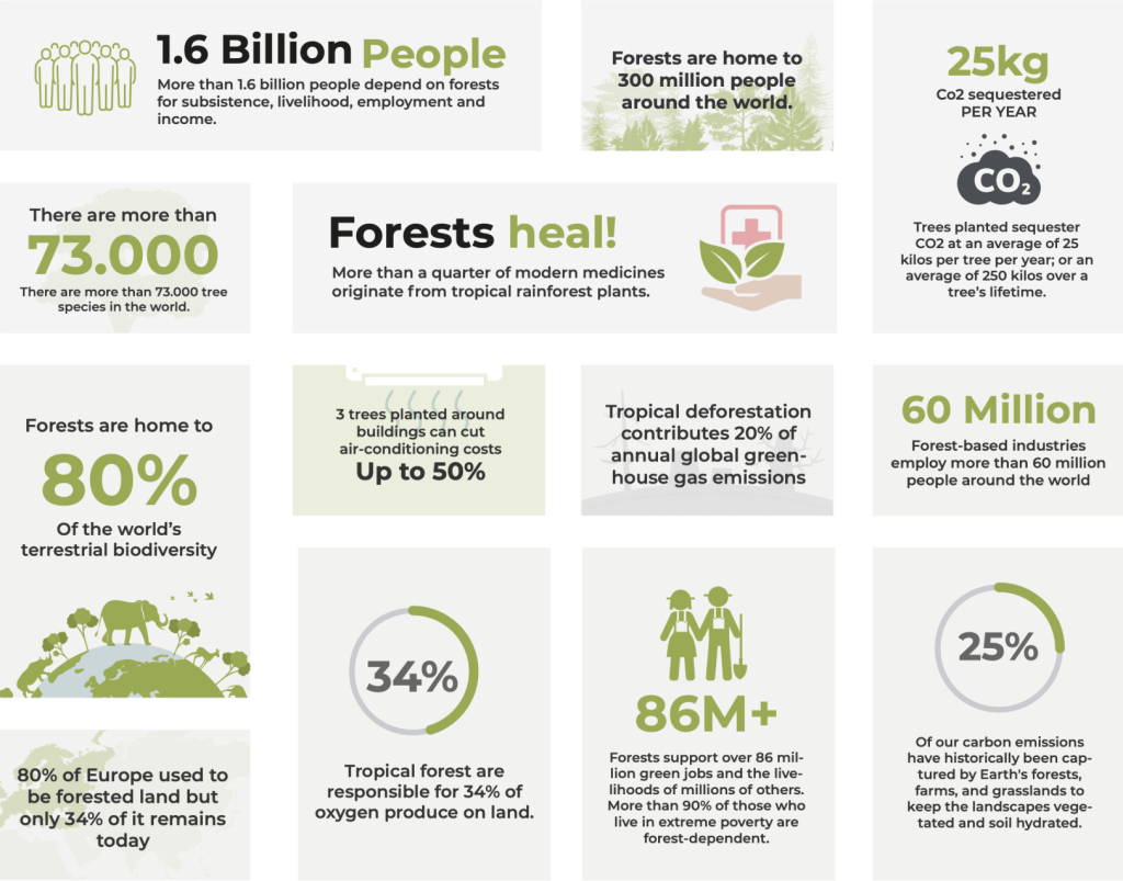 Teams Resources - EcoMatcher