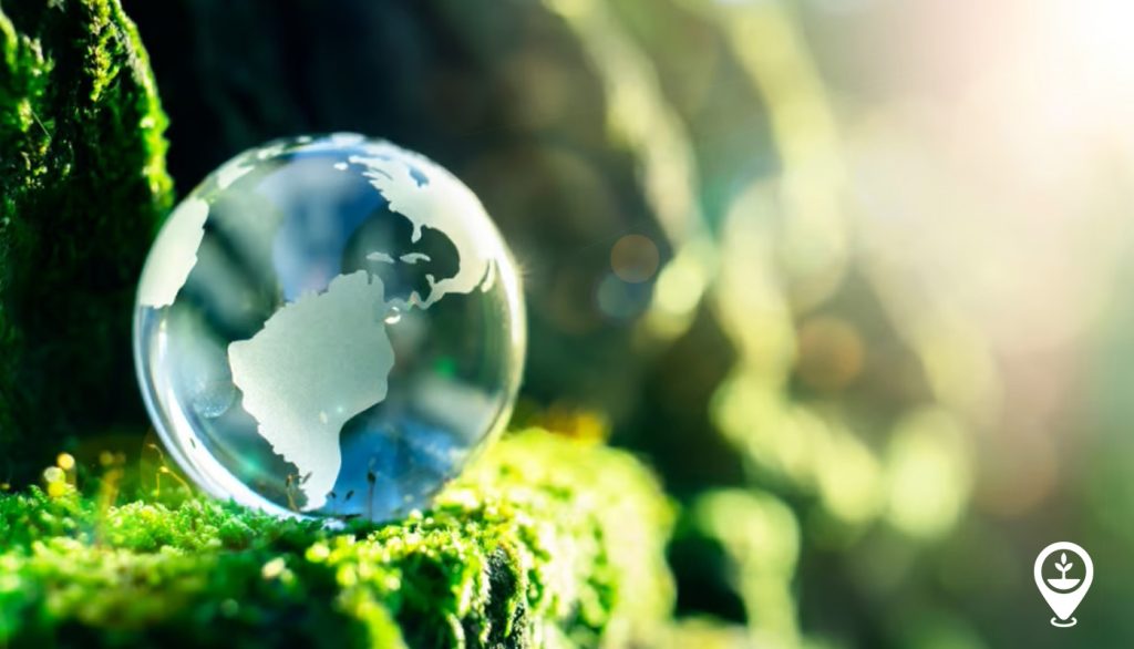 Seeding the Future: How Innovation in Climate Tech is Redefining Green Solutions - EcoMatcher