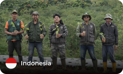 Tree Planting Organizations | Our Global Partners - EcoMatcher