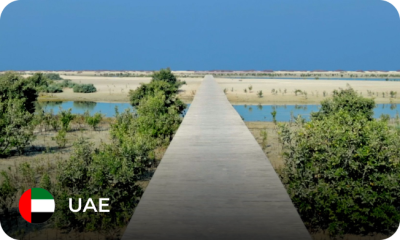Tree Planting Organizations | Our Global Partners - EcoMatcher