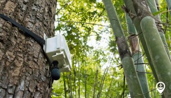 Discover Forest Health Through Sound - EcoMatcher