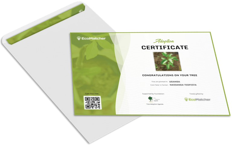 Tree Certificate TreeManager Tool - EcoMatcher