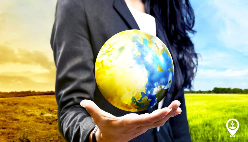 The Executive's Guide to Environmental Leadership - EcoMatcher
