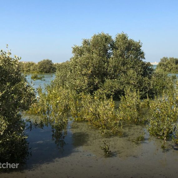 Emirates Marine Environmental Group - EcoMatcher