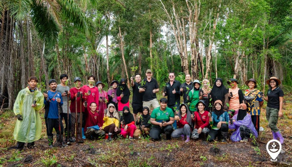 Positive Climate News: 2025 Progress and Hope - EcoMatcher